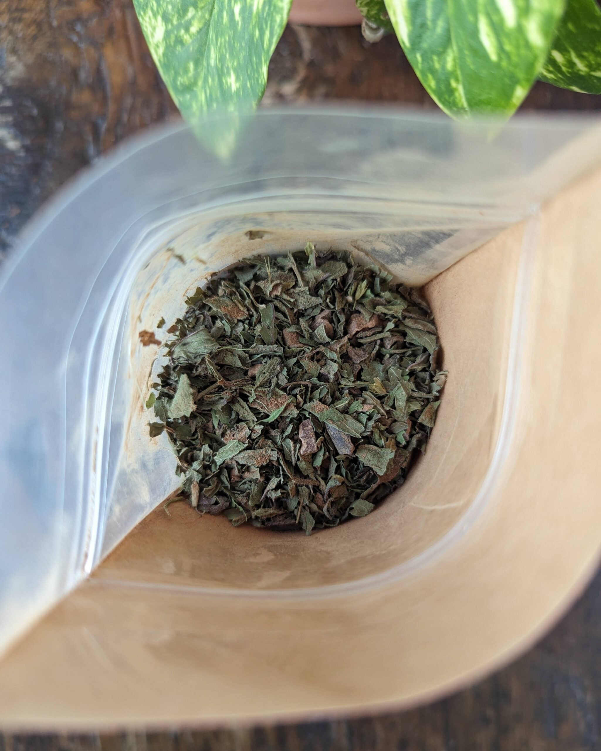 After Seven – Your Grandma's Kitchen